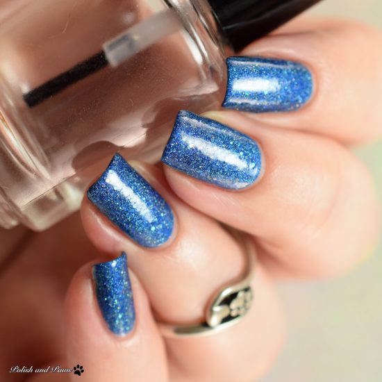MDJ Creations Robin Moses Inspired Collection | Polish and Paws