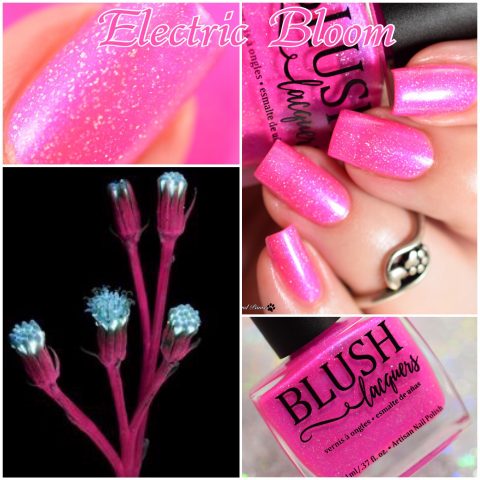 Blush Lacquers Electric Bloom ~ Polish Pickup | Polish and Paws