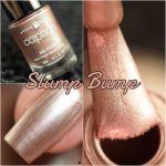 Caption Polish Everyday 2018 Collection | Polish and Paws