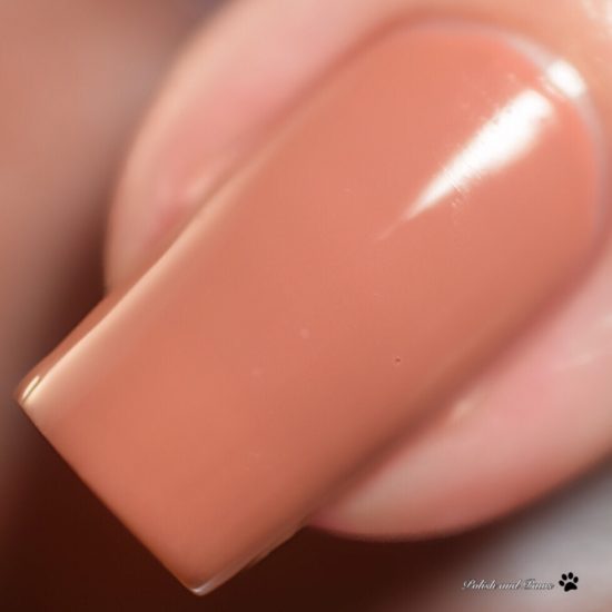 LeChat Nails IndieFest Collection Summer 2018 | Polish and Paws