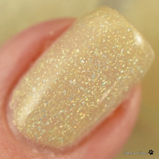 Zoya Winter Holos ~ January 2019 | Polish and Paws