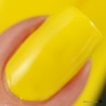 YAPA Nail Polish ~ Swatch and Review | Polish and Paws