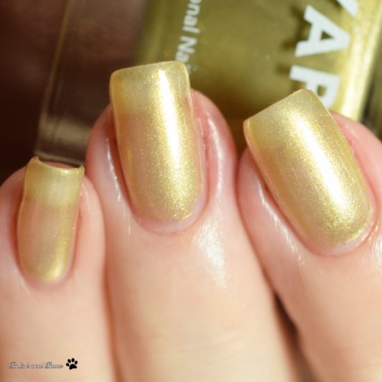 YAPA Nail Polish ~ Swatch and Review | Polish and Paws