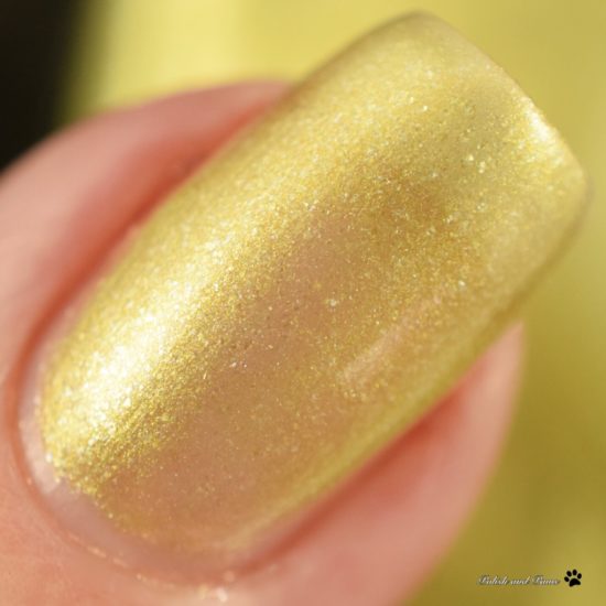 YAPA Nail Polish ~ Swatch and Review | Polish and Paws