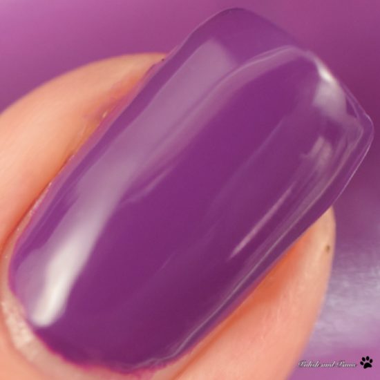 Zoya Innocence Collection ~ Spring 2019 | Polish and Paws